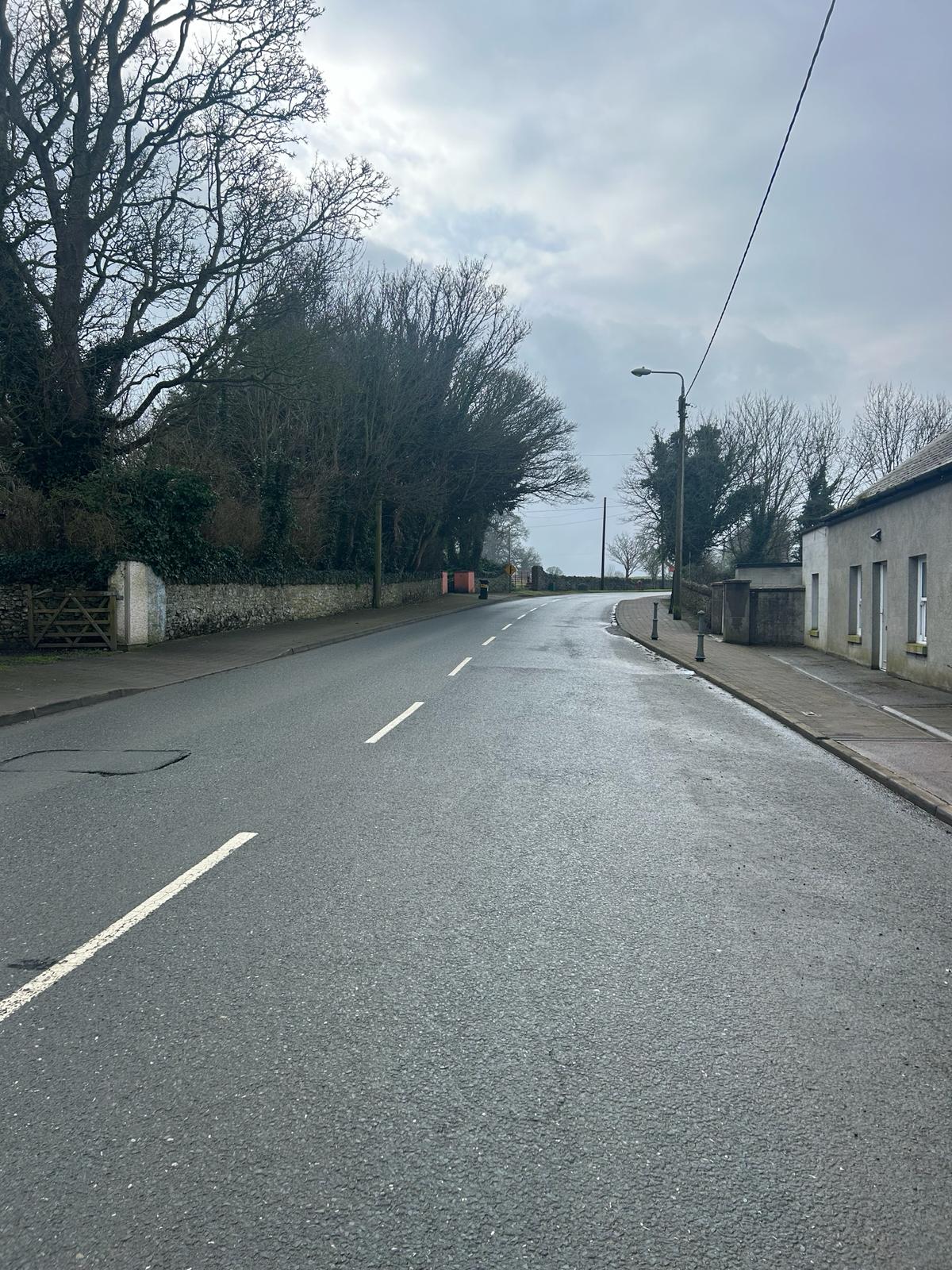 Work In Progress | Shane McGuinness